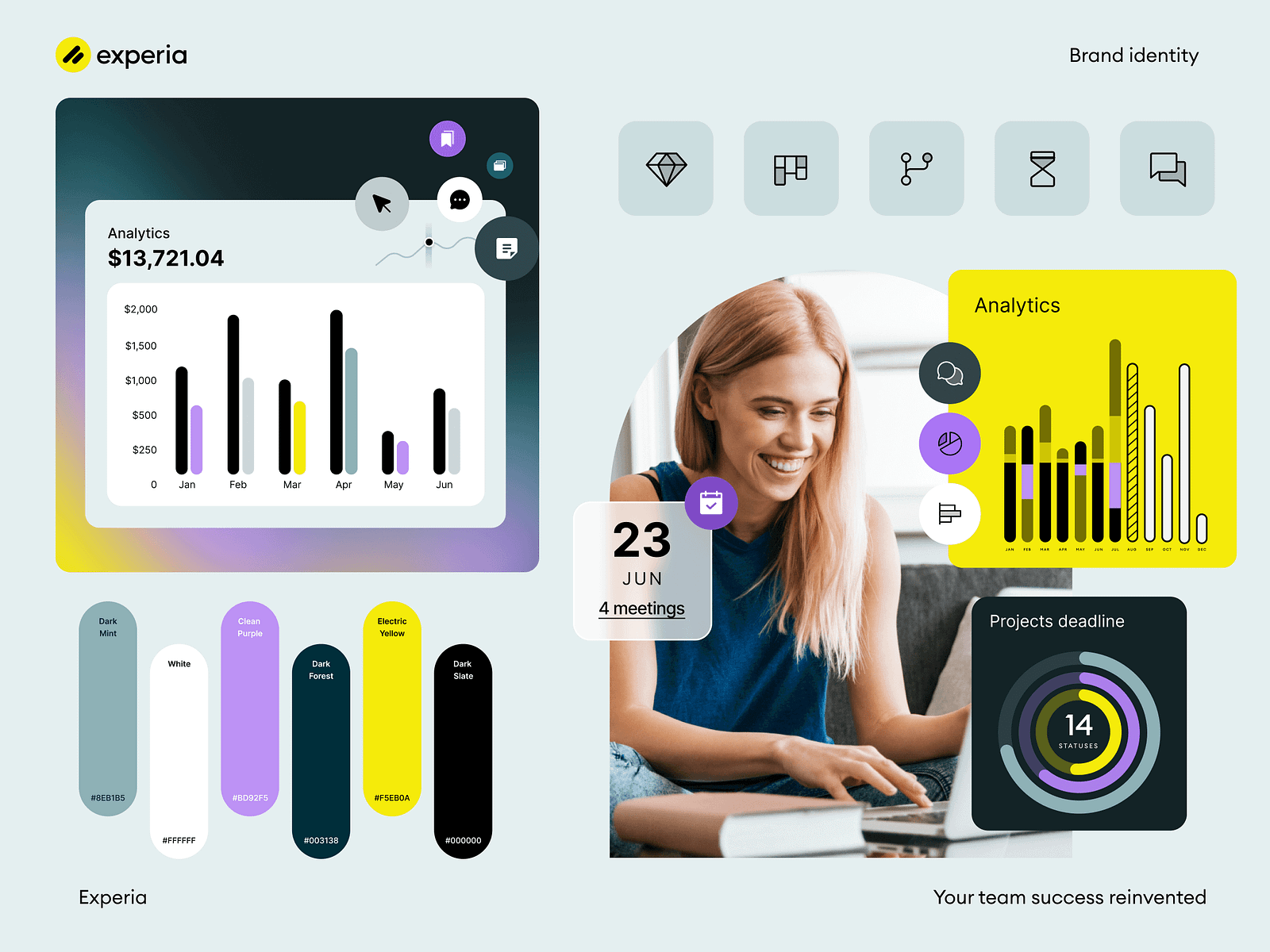 Experia SaaS Visual Identity by Emilian for DesignUp on Dribbble