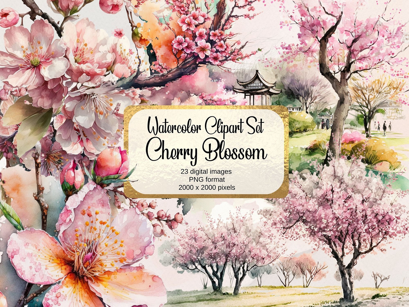 Watercolor Cherry Blossom Set by Alina on Dribbble