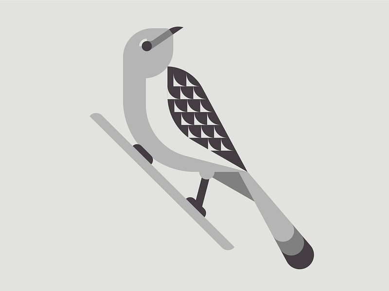 Browse thousands of Mockingbird images for design inspiration | Dribbble