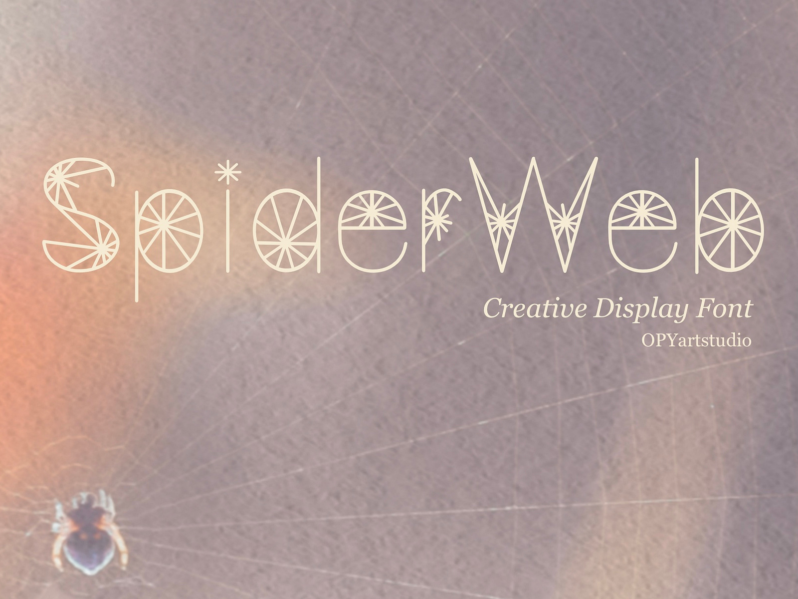 Spider Web - Creative Display Font by Shayapa Jainim on Dribbble