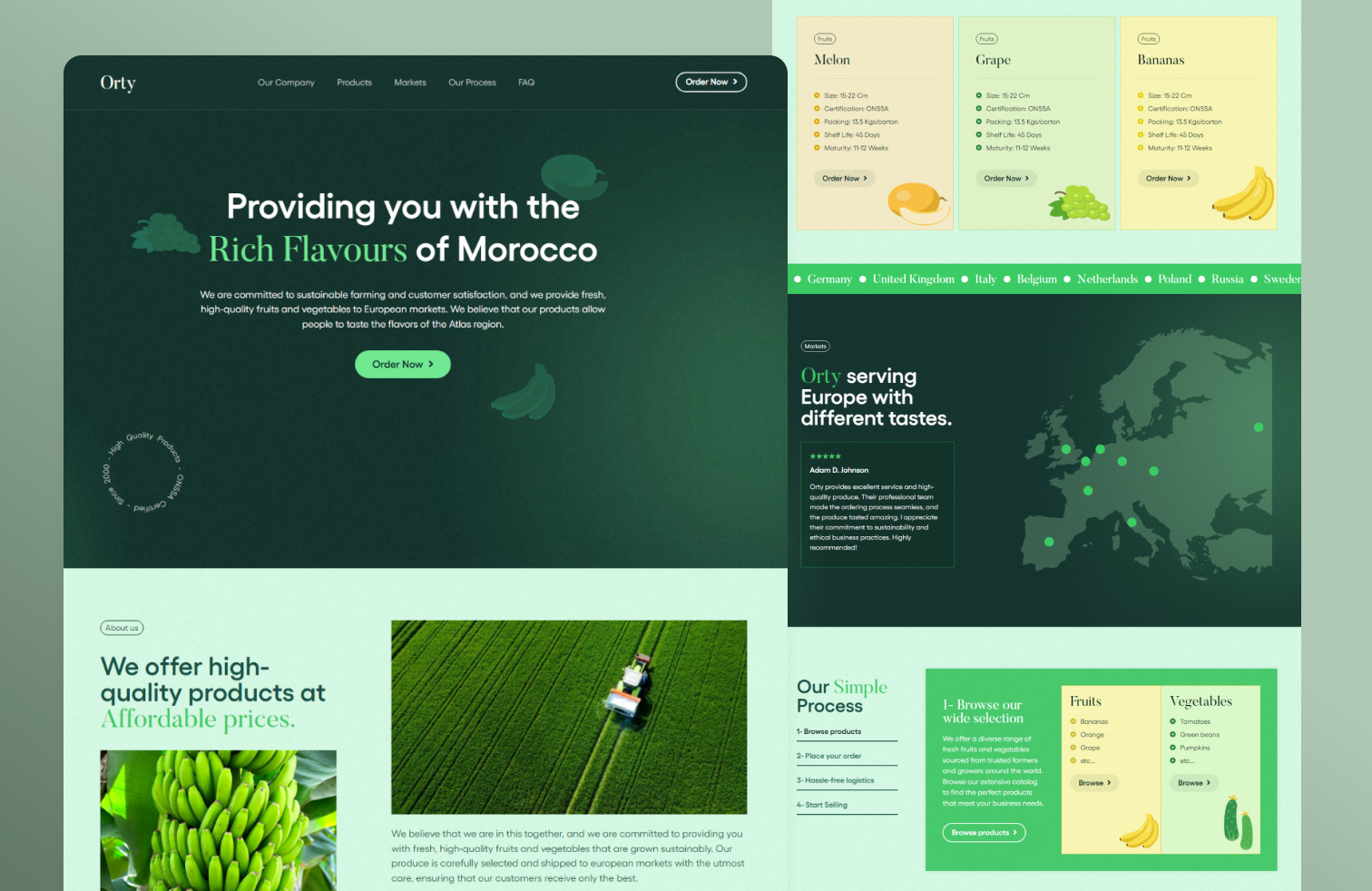 Orty Fruit And Vegetable Import And Export Company By Yassine BOUKLAL orty-fruit-and-vegetable-import-and-export-company-by-yassine-bouklal