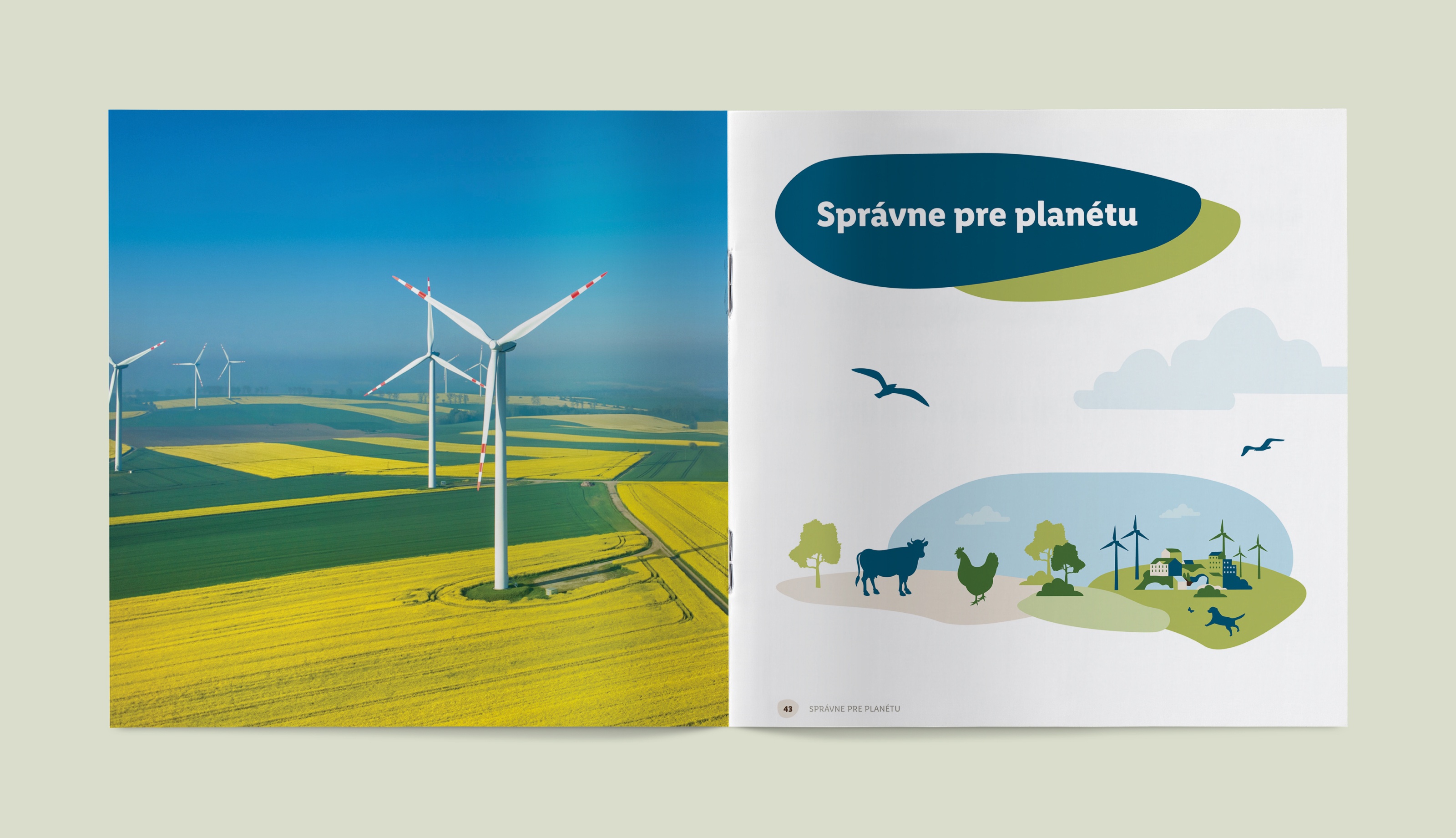 LIDL CSR - Annual Report by Lukáš Kulla on Dribbble