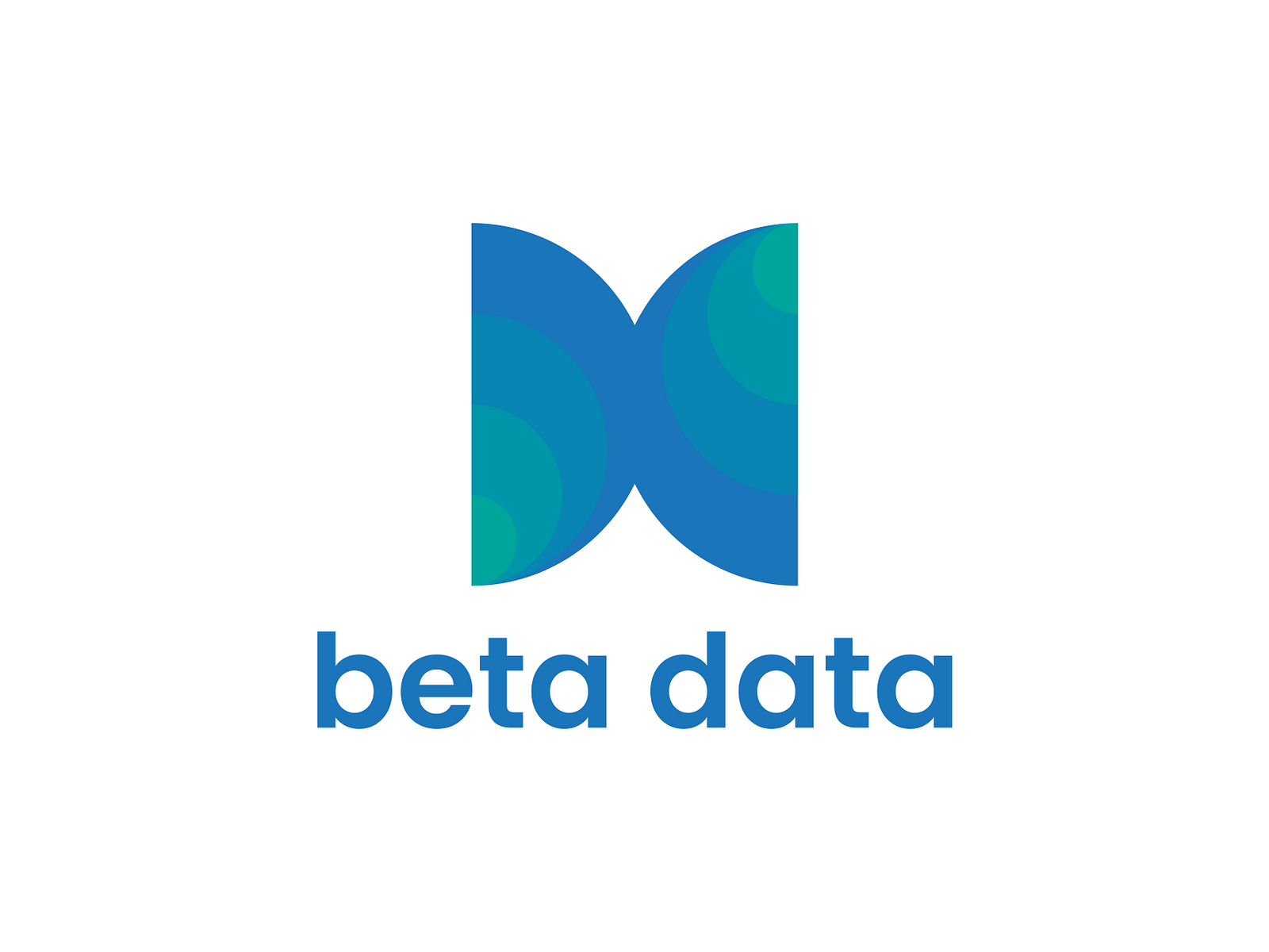 Beta Data by Fozley Rabbi 🚀 on Dribbble