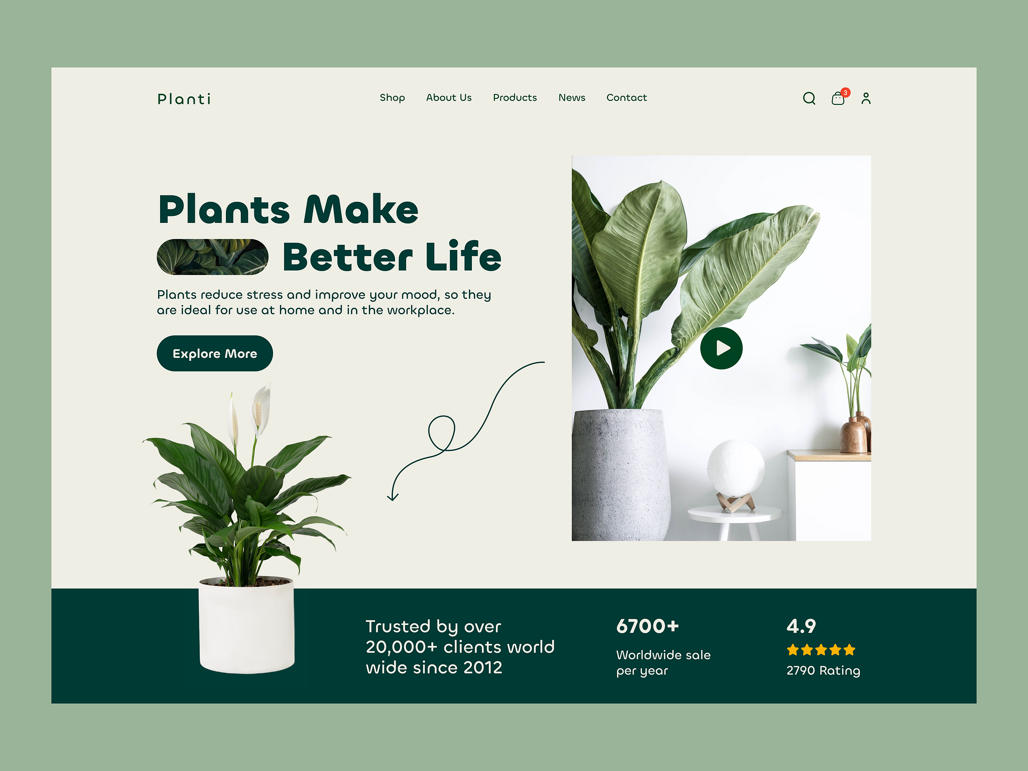 Indoor Plant Website by Parves Ahamad for Ace UX on Dribbble