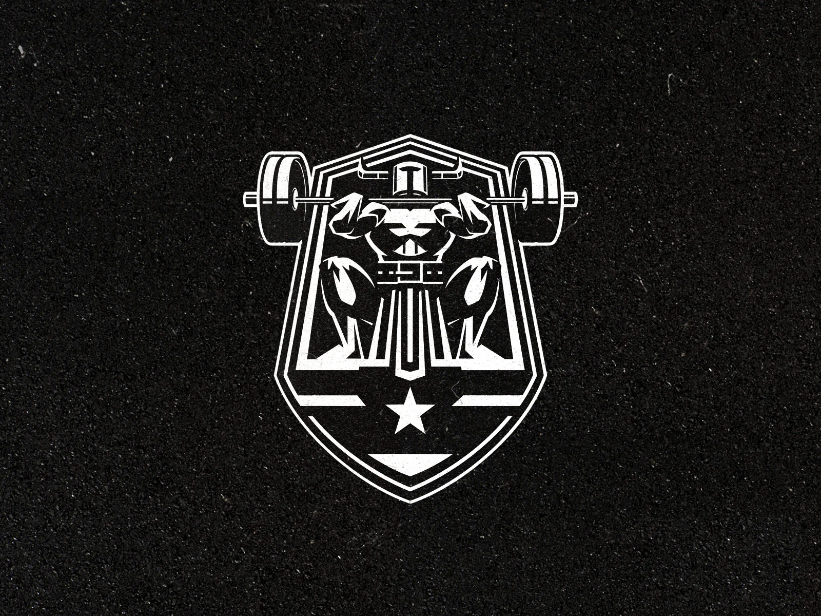 STRONGHOLD by Camo Creative on Dribbble