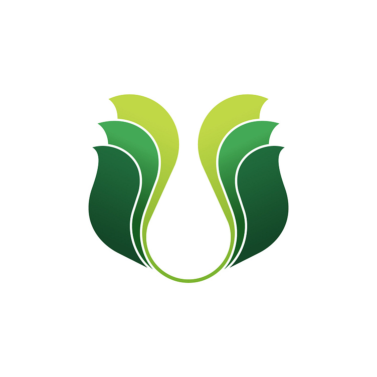 Parand By Shahram Kayhani On Dribbble