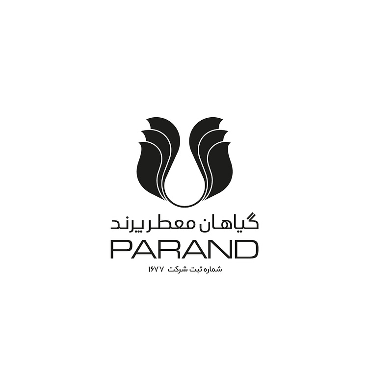 Parand By Shahram Kayhani On Dribbble