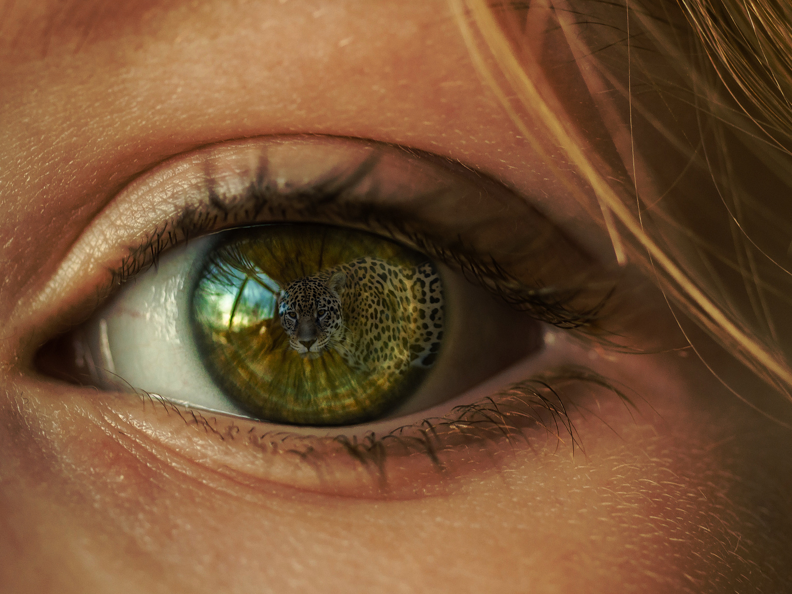 Your strength is in your eyes! by Diko TSertsvadze on Dribbble