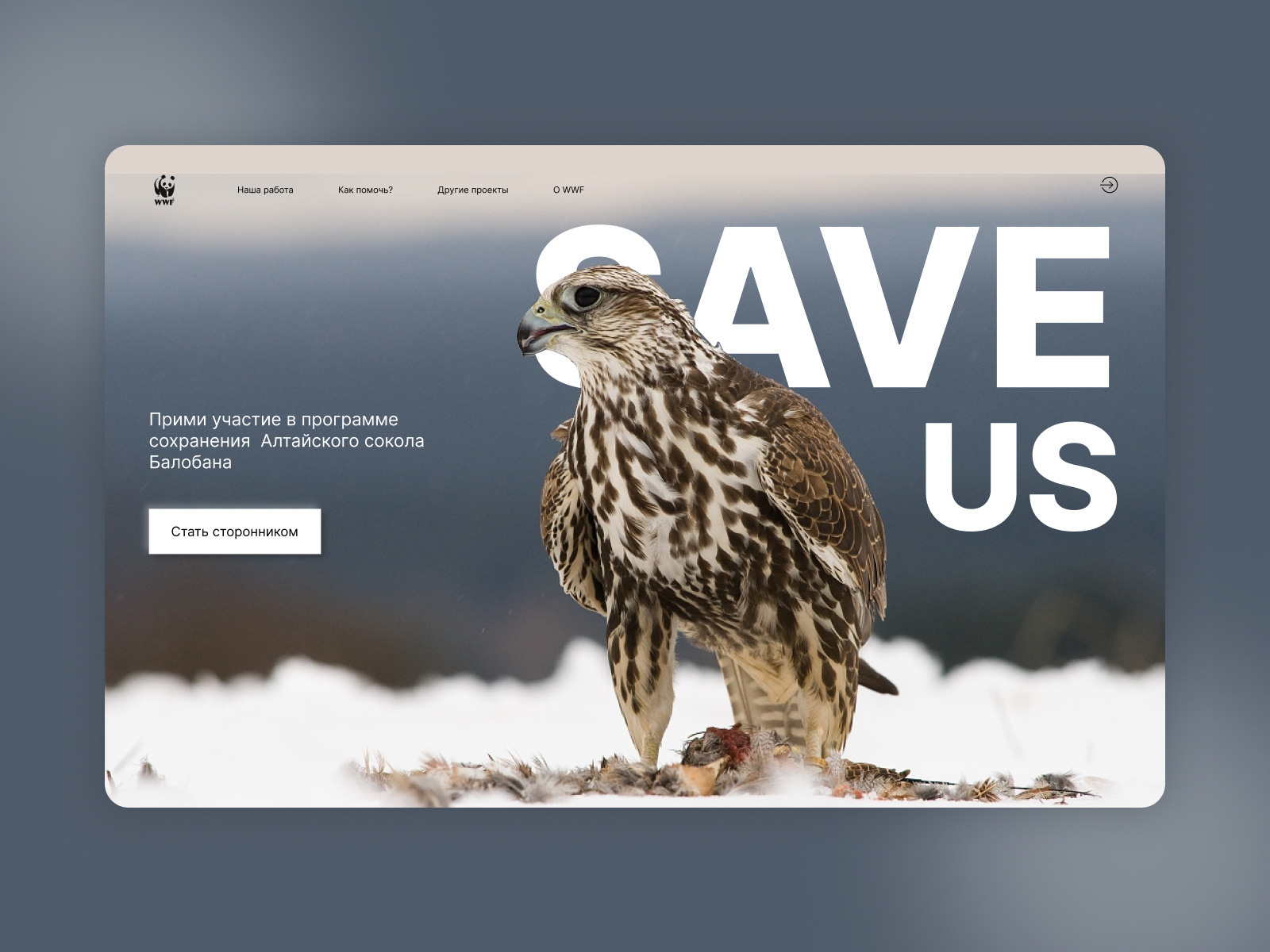 WWF program. First page by Anastasia Dyo on Dribbble