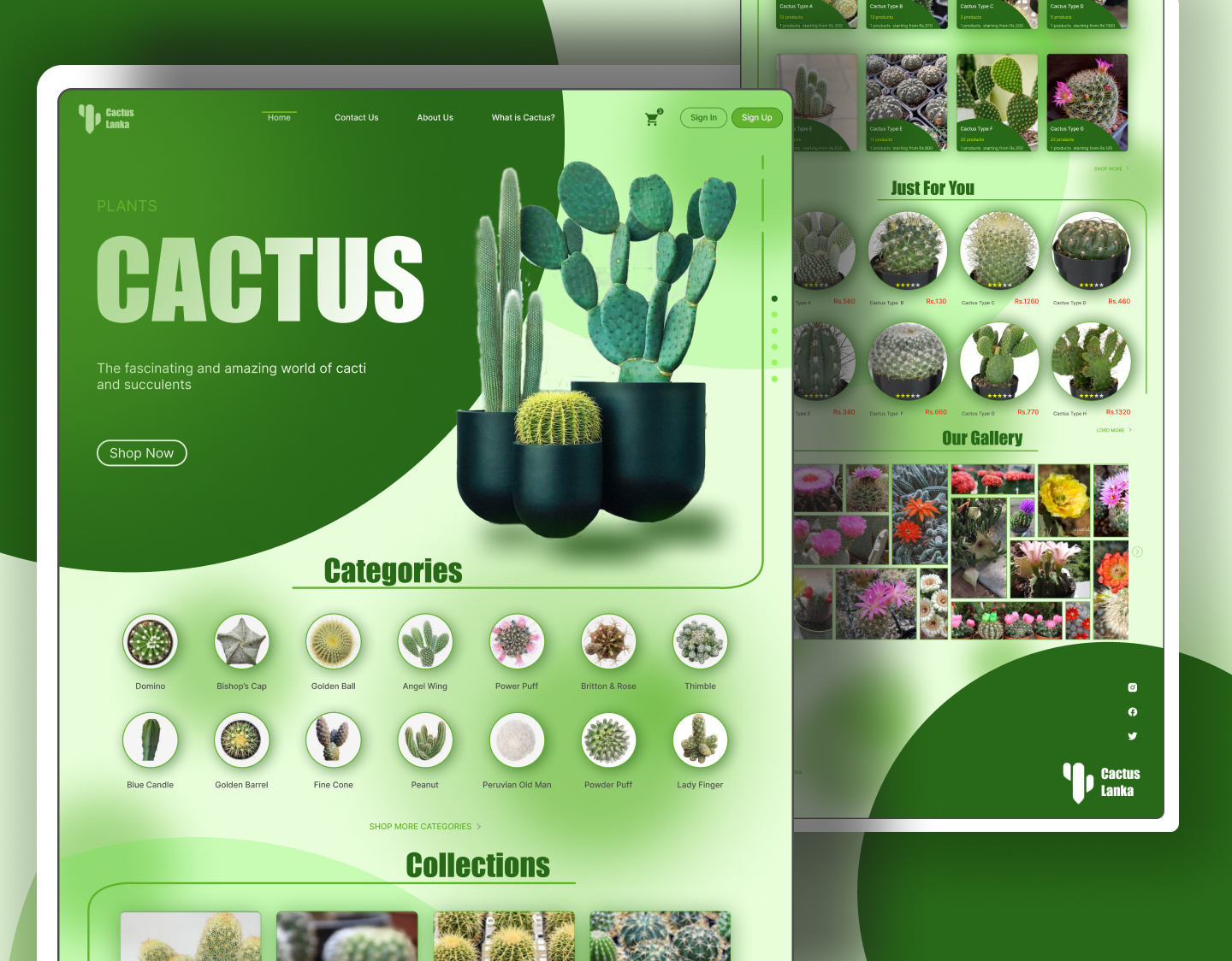 E-commerce website for a cactus plant shop by sasindu sesath on Dribbble