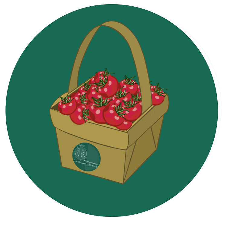 Farm Instagram Icon by Judella on Dribbble