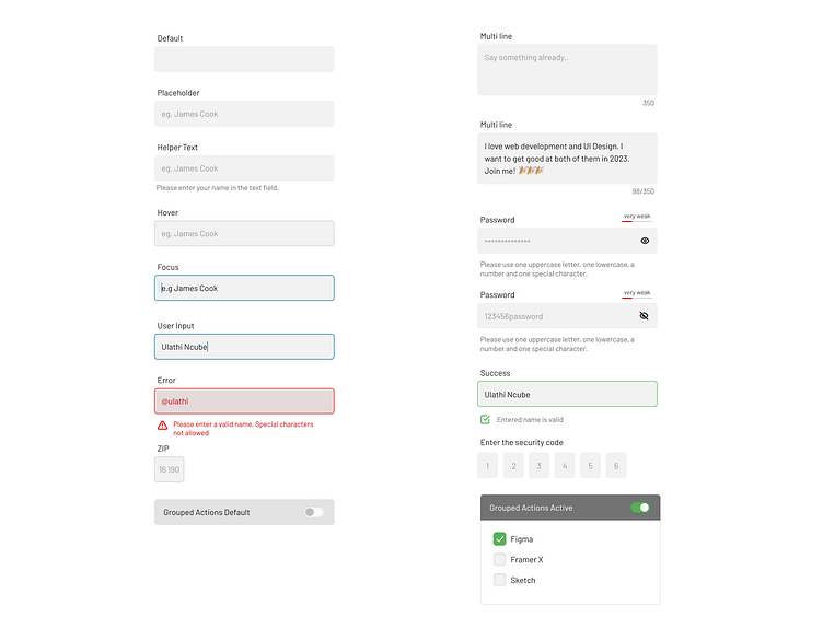 User Input Style Guide By Ulathi Ncube On Dribbble 