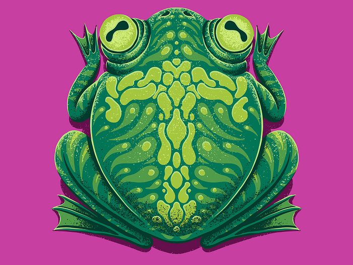 Browse thousands of Frog images for design inspiration | Dribbble