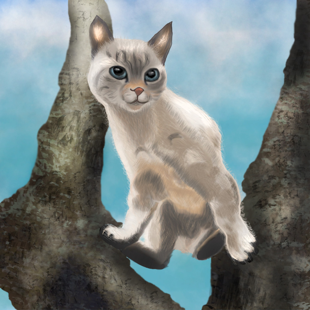 cat by Kseniya on Dribbble