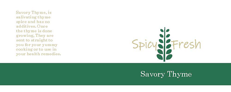 Spice Logo by Maria Kindziera on Dribbble