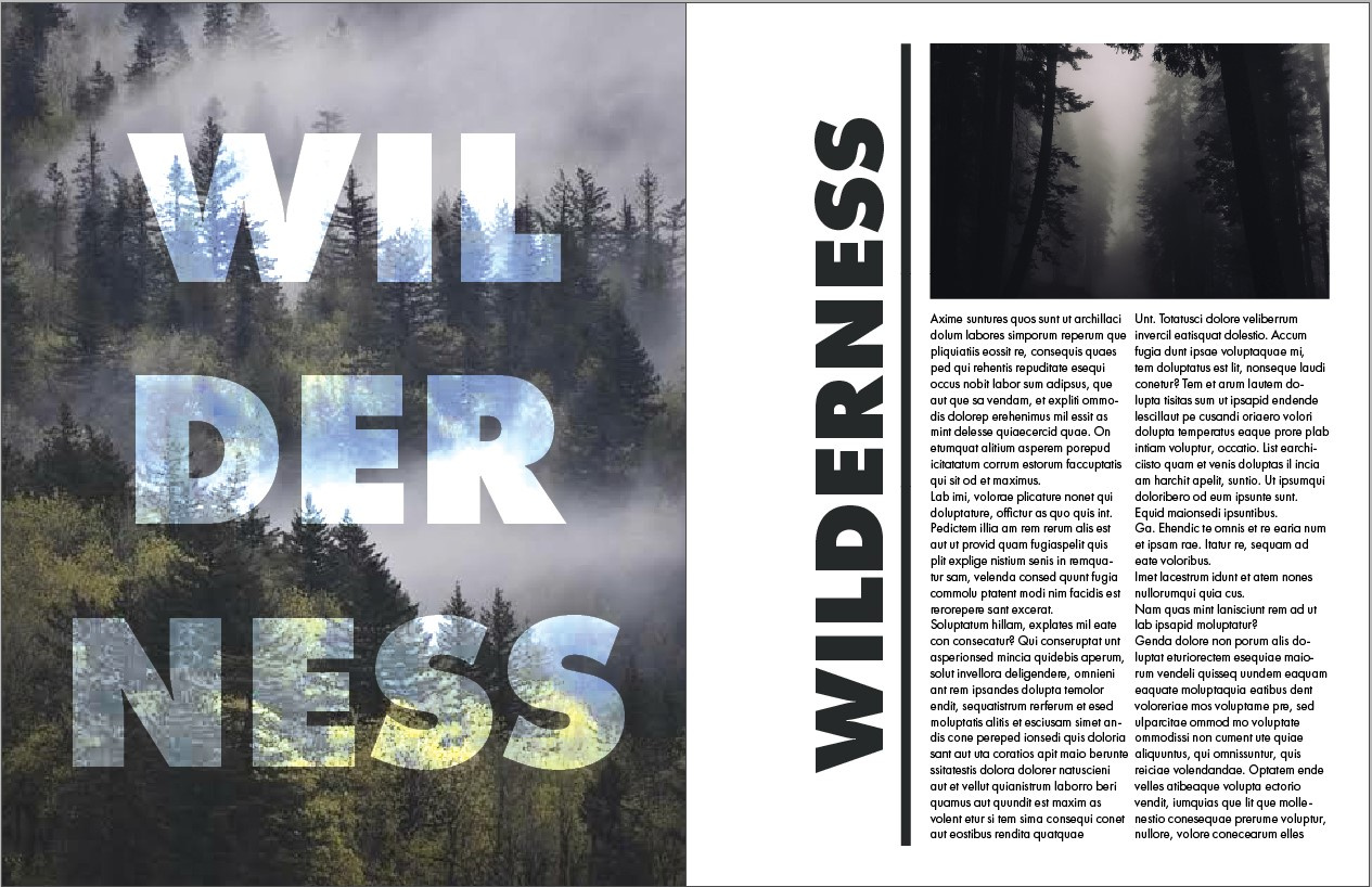 Magazine/Article Page Layouts by Ara on Dribbble