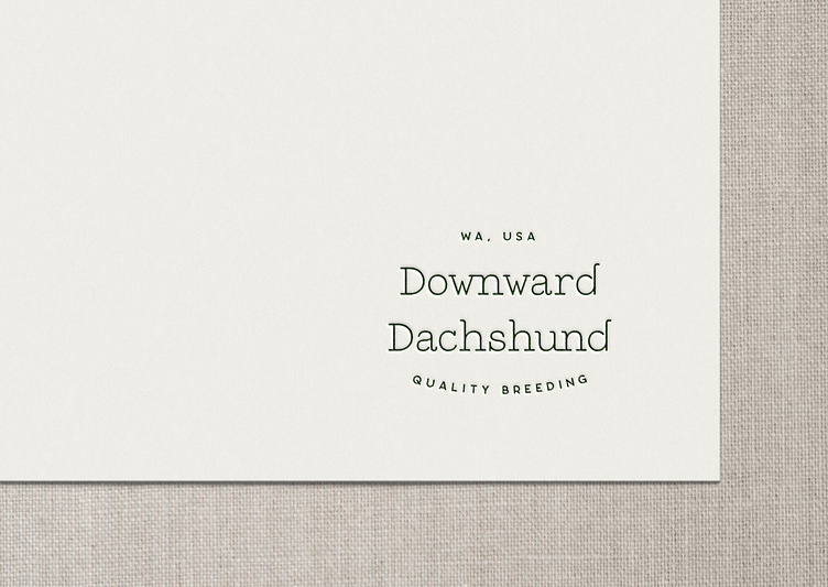 Visual Identity for Downward Dachshund by Amanda DeWoody on Dribbble