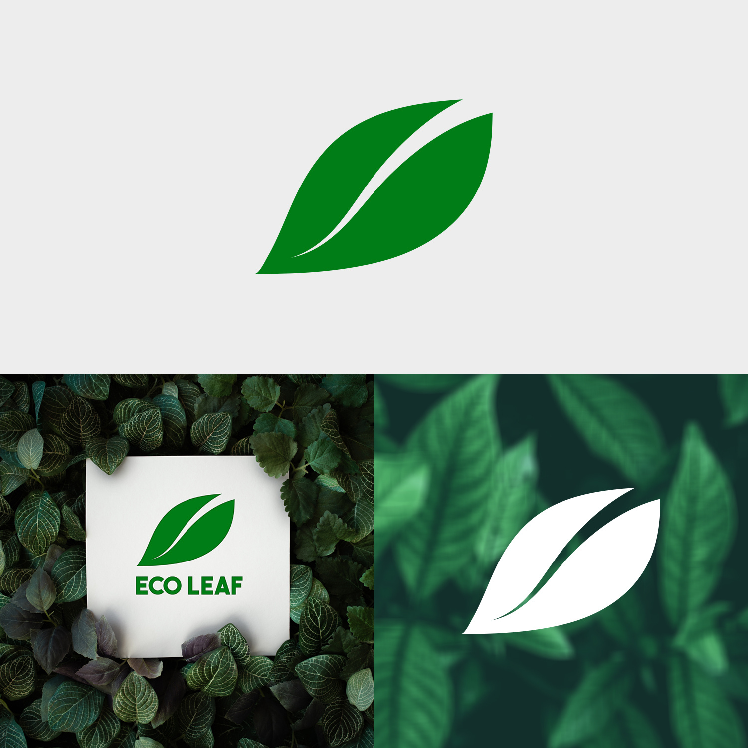 Eco-friendly company logo design by Wahab Arif on Dribbble