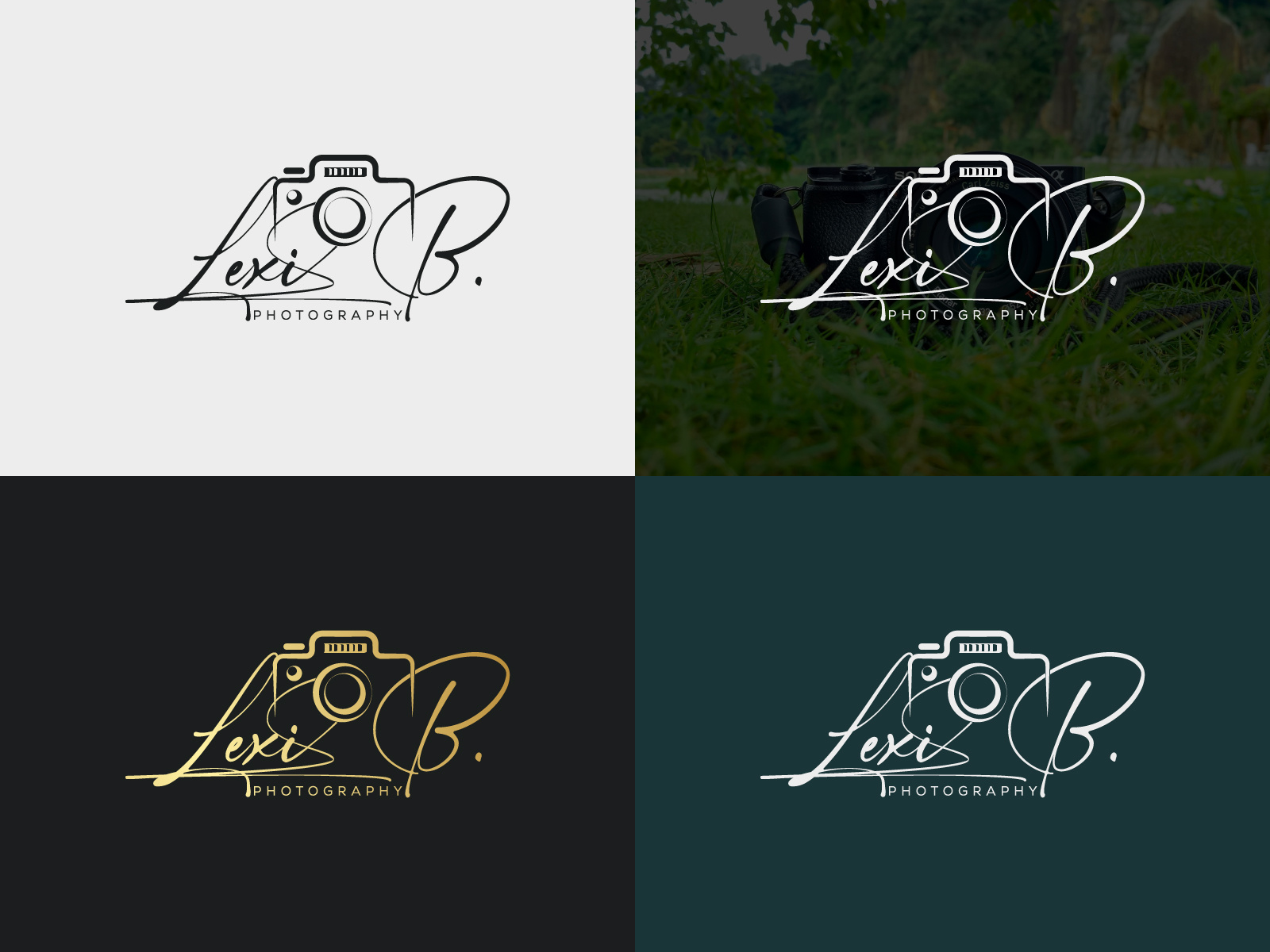 Professional Photographer Logo Design