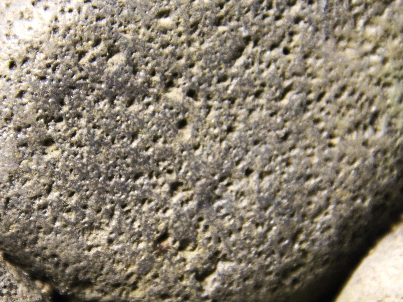 Hollow Stone Texture Background Photo by Dream Forest on Dribbble