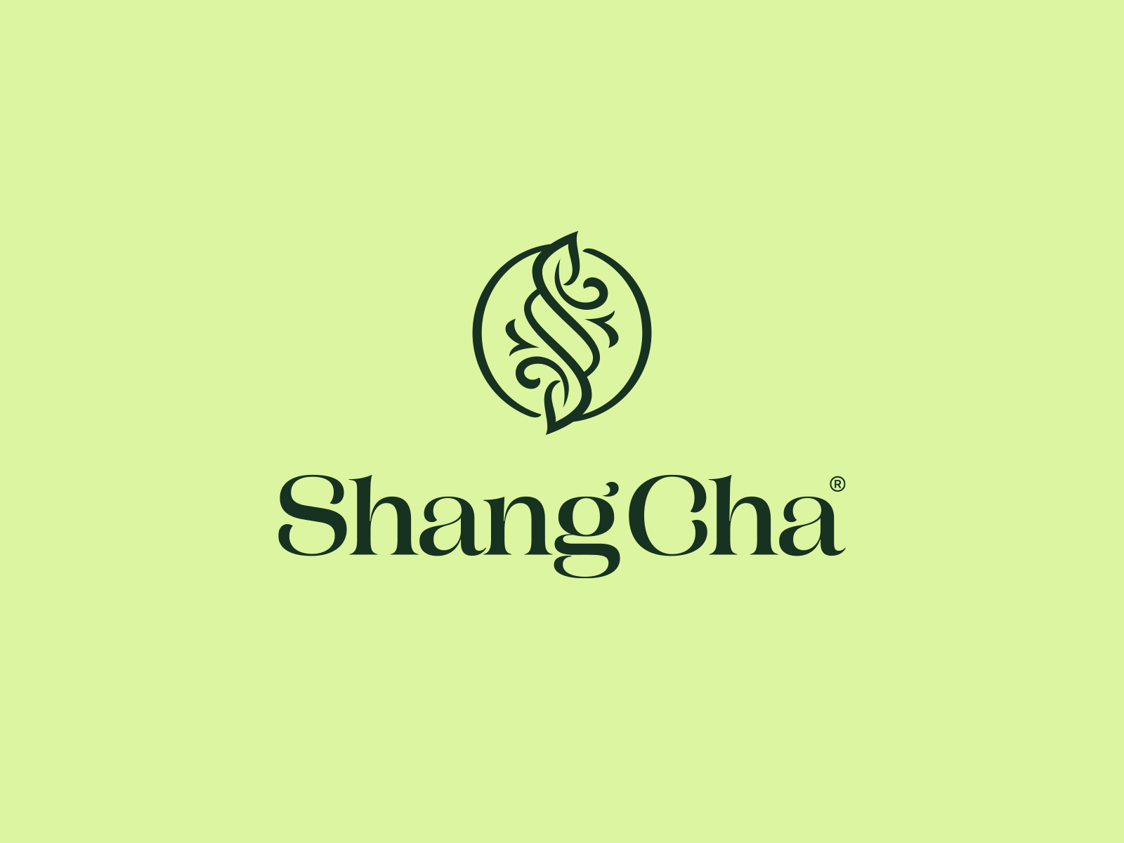 Shang Cha by Felipe Merola on Dribbble