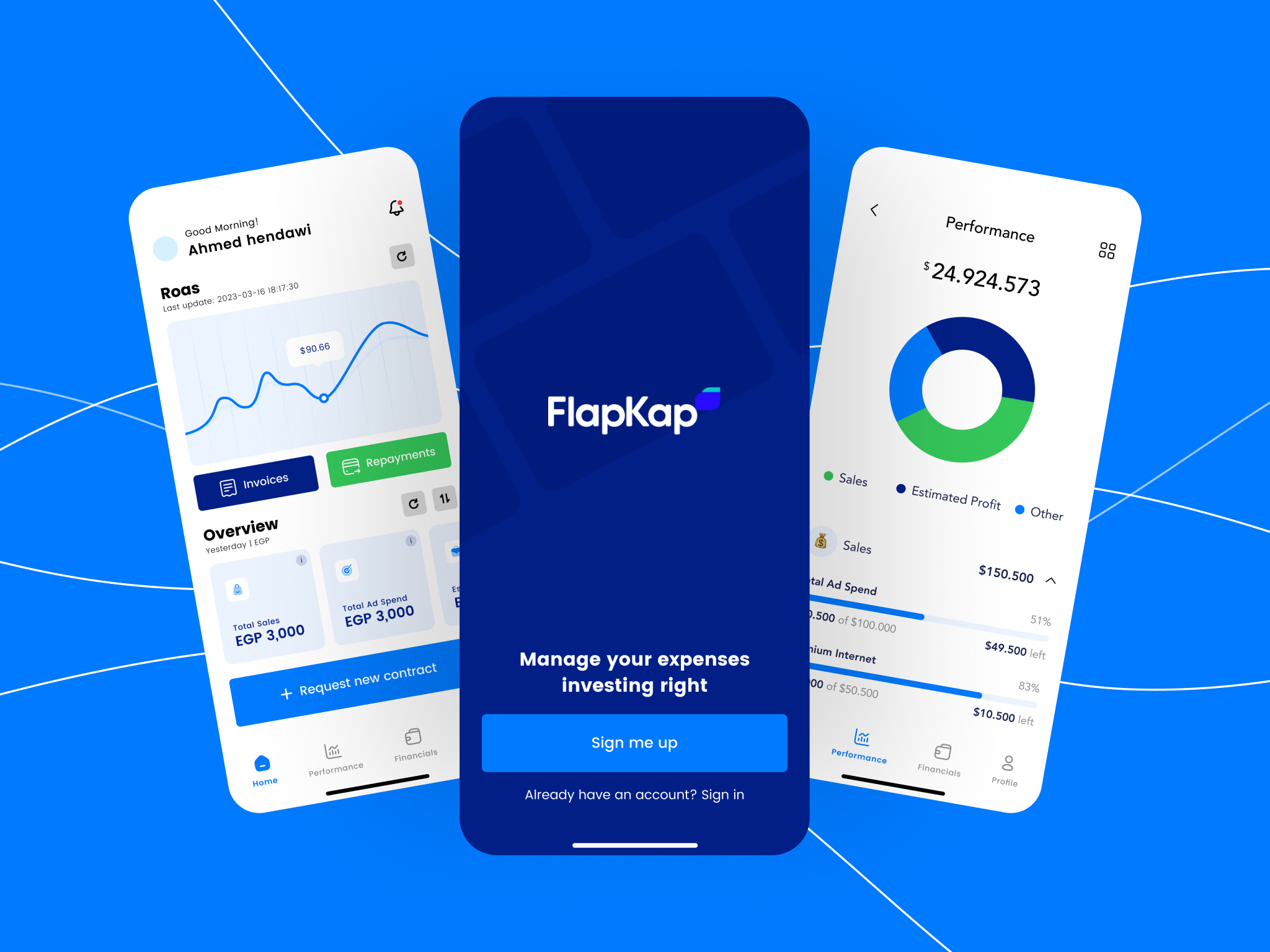 FlapKap - Finance Insights Assistant by Ahmed Hendawi on Dribbble