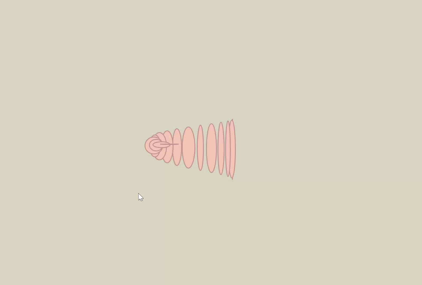 Generative Animation | 2022 | by Sanhita Devi on Dribbble