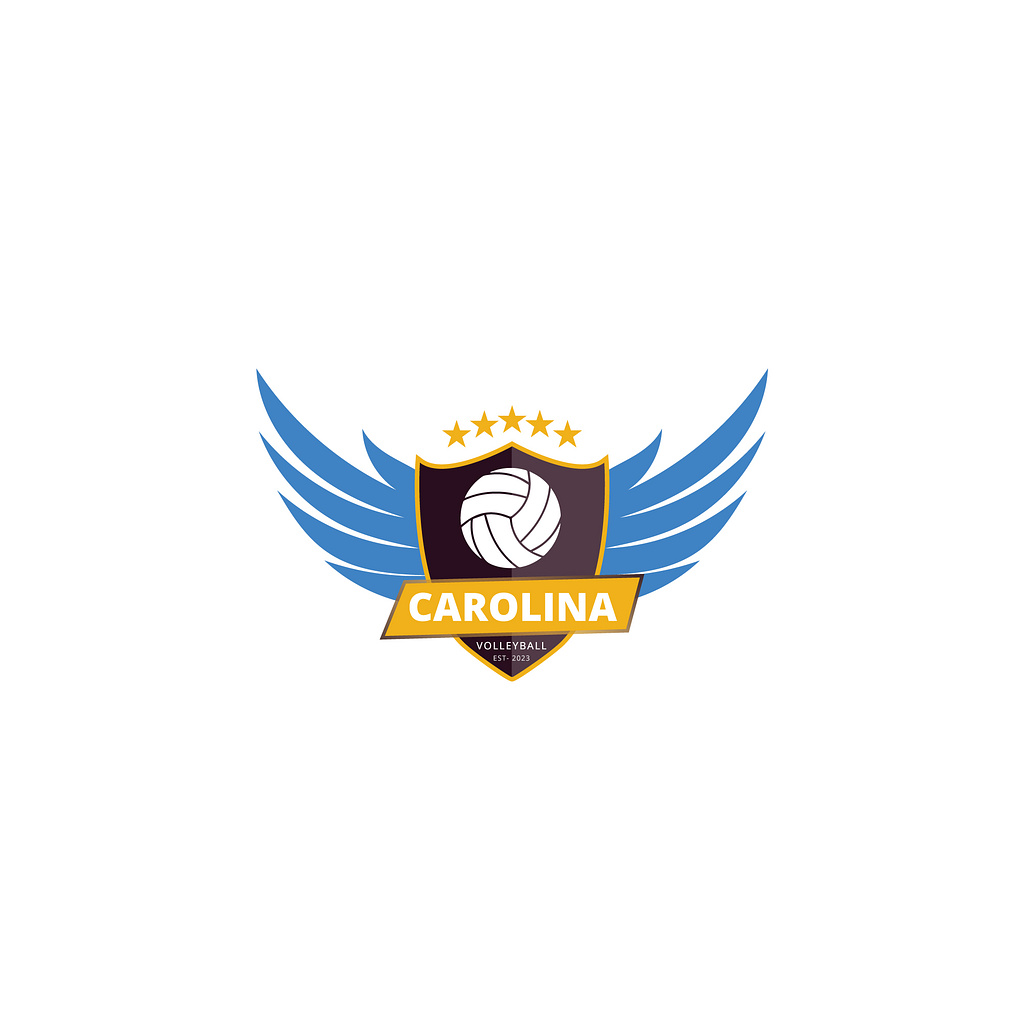 Volleyball Logo Design by Jay Mandal on Dribbble