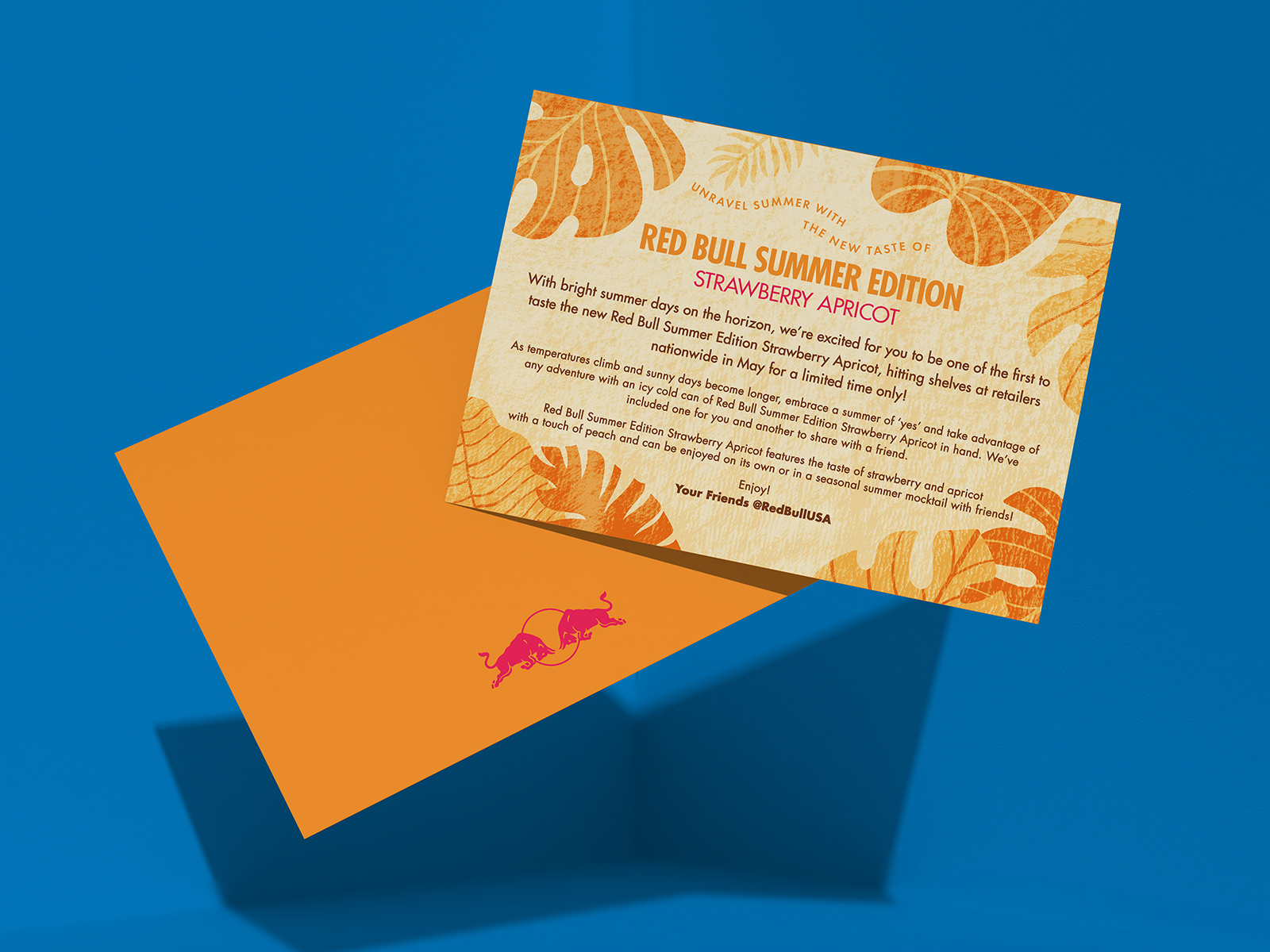 Red Bull Summer Influencer Kit by Kelly Freitas on Dribbble