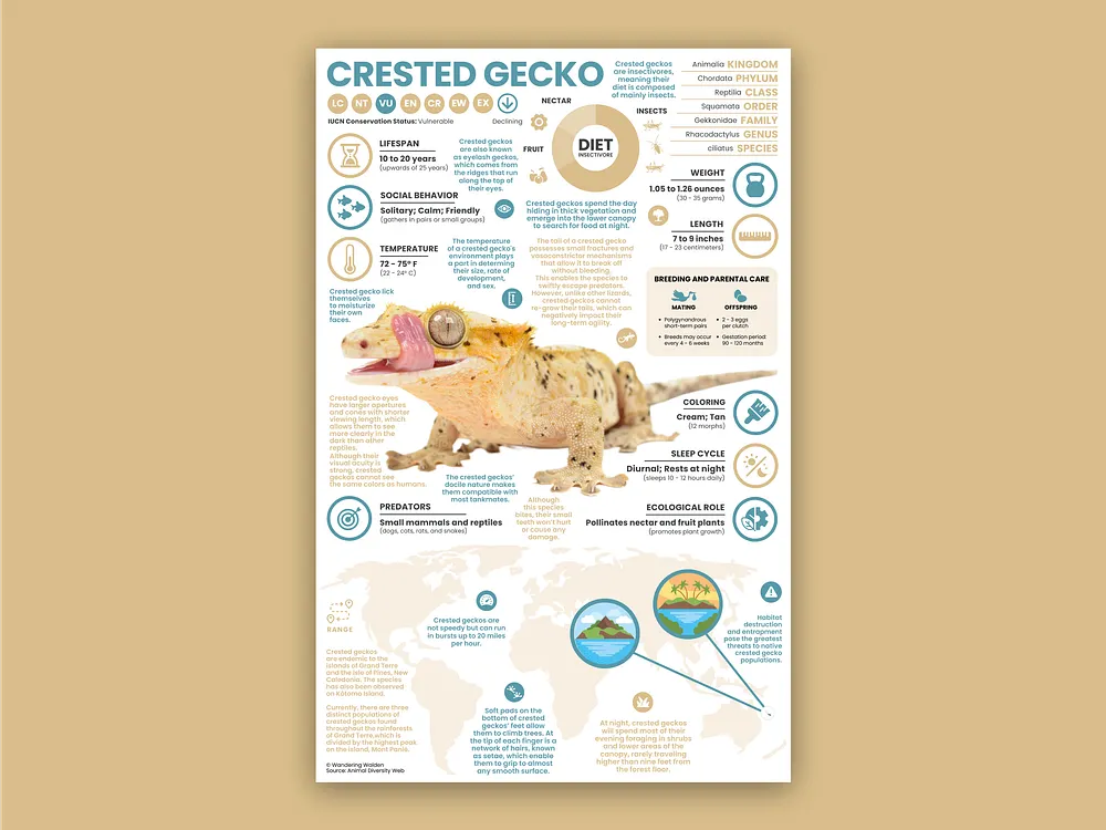 Reptile Poster designs, themes, templates and downloadable graphic ...