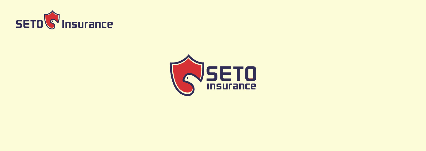 visual identity - LOGO- SETO INSURANCE by mahmoud mousa on Dribbble