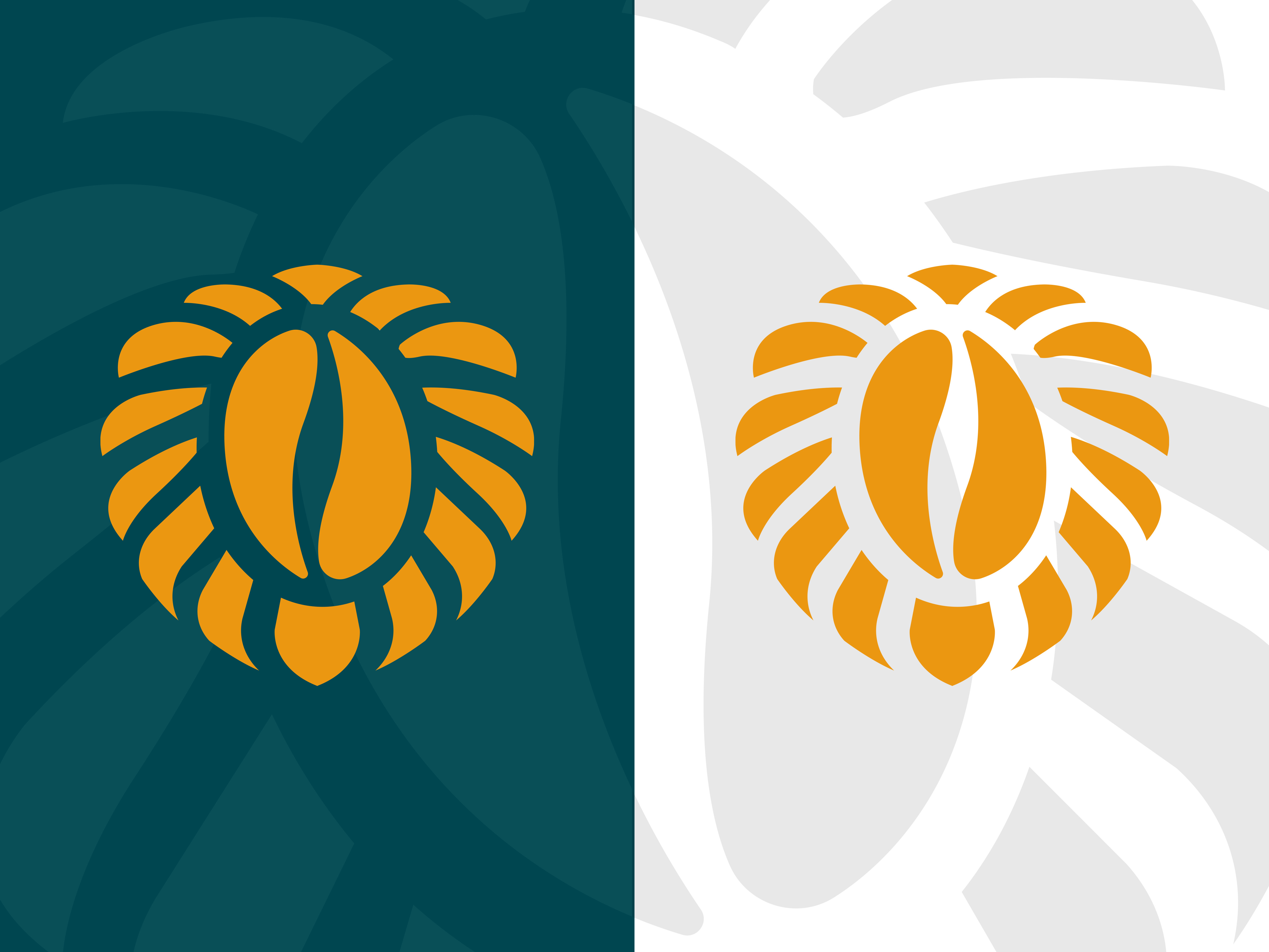 Leo Café by Ty Logan on Dribbble