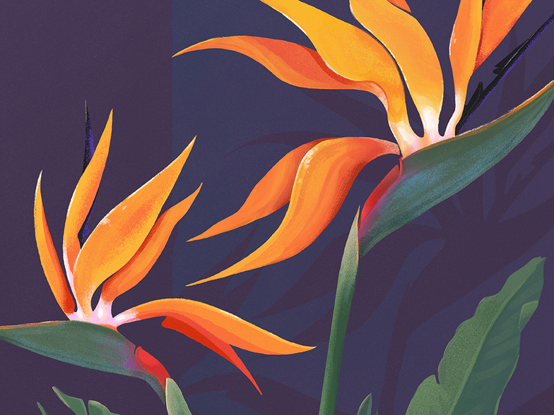 Album Artwork By Dylan Fowler On Dribbble