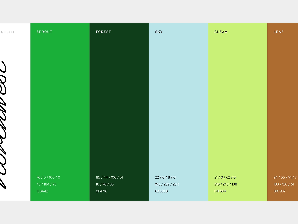 Color Palette designs, themes, templates and downloadable graphic ...