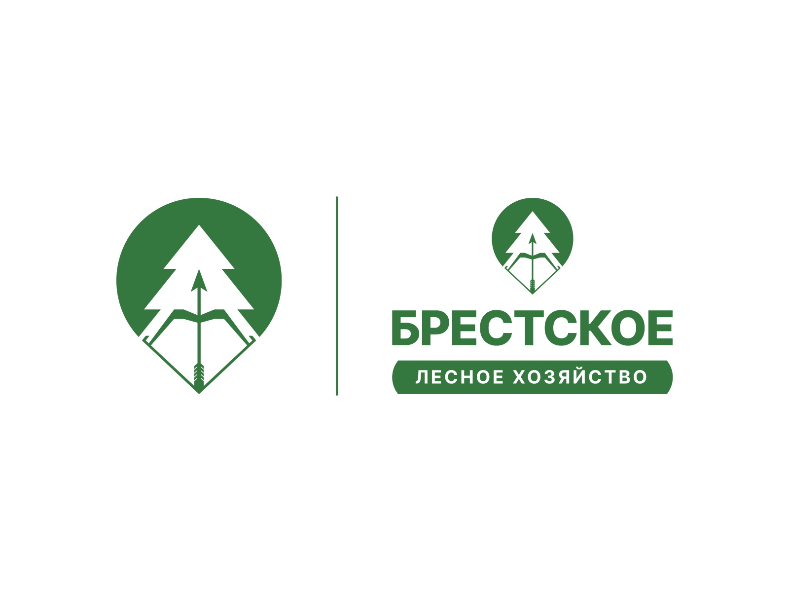 Brest forestry - logo by Alexey Marker | Brand & logo on Dribbble