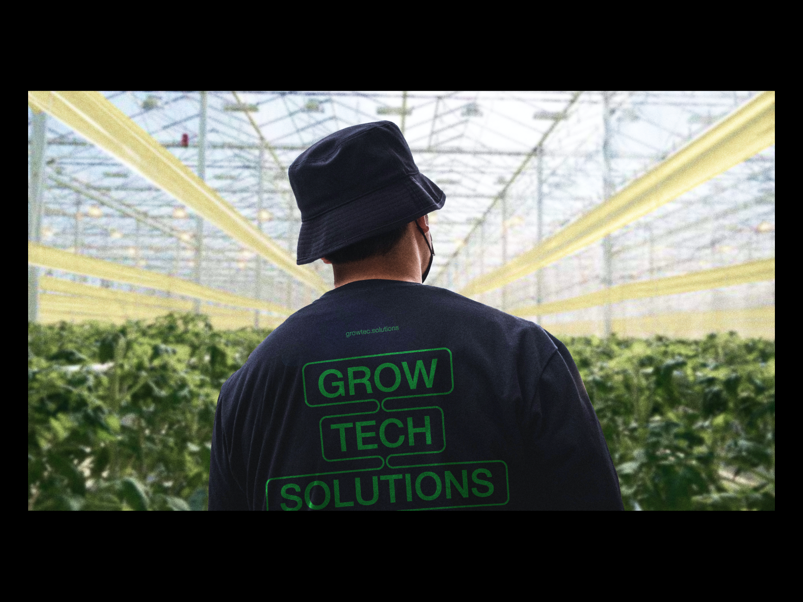 GrowTech Solutions by Pavel Dergachev for Redis Agency on Dribbble
