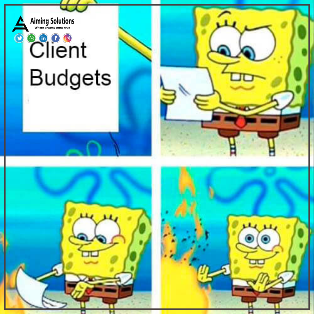 Client Budgets by Aiming Solutions on Dribbble