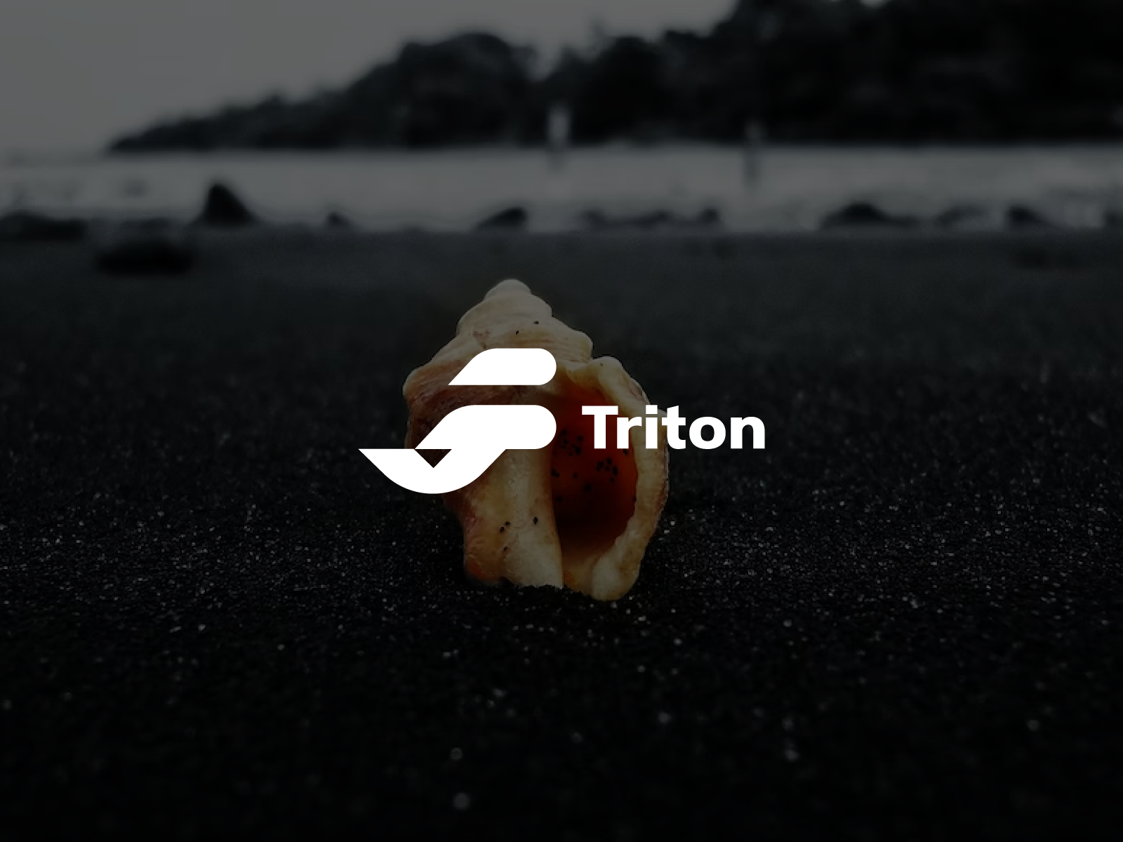 Triton Logo Design, Logo by Saathi on Dribbble