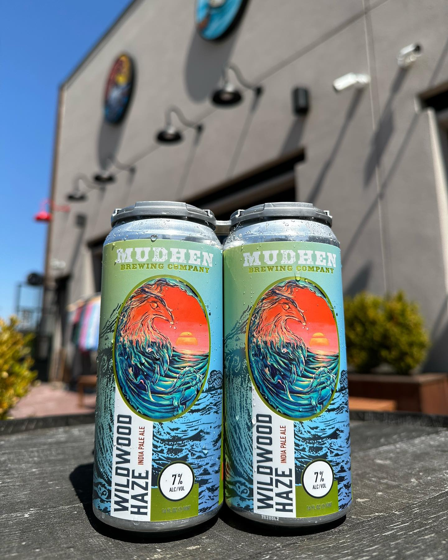 Wildwood Haze IPA | Beer Label Design by Jen Borror | Hoot Design ...