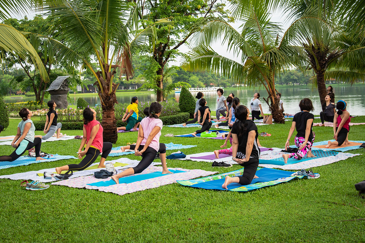 Top 10 Yoga Teacher Training India By Adhiroha Yoga On Dribbble top-10-yoga-teacher-training-india-by-adhiroha-yoga-on-dribbble