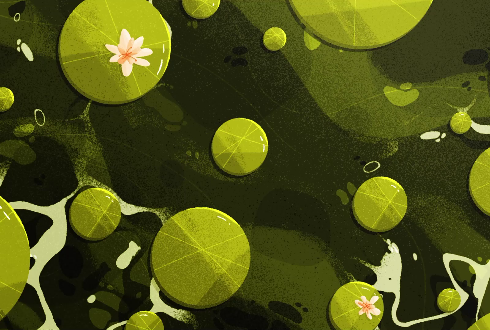 Pond animation by Zoé Foulon on Dribbble