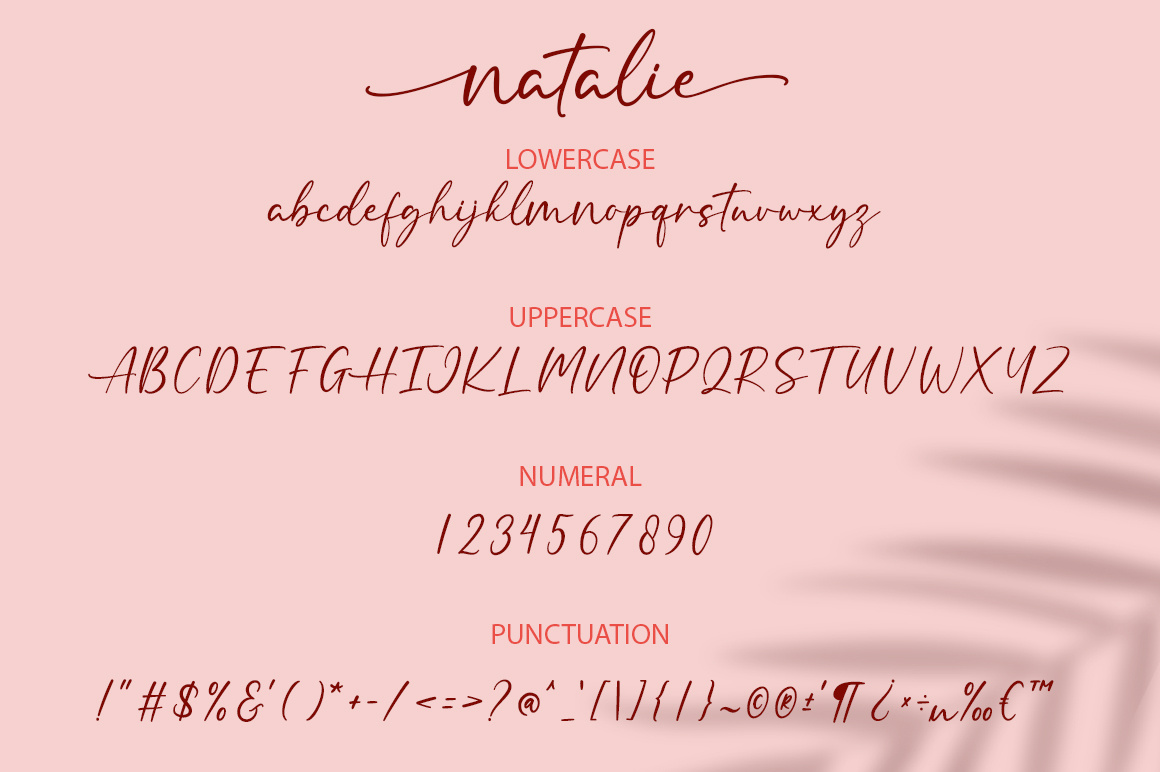Natalie Font by Aldi Raya on Dribbble