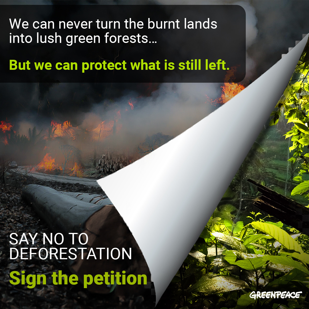 Greenpeace - Manipulation Ads by Vipul Designs on Dribbble
