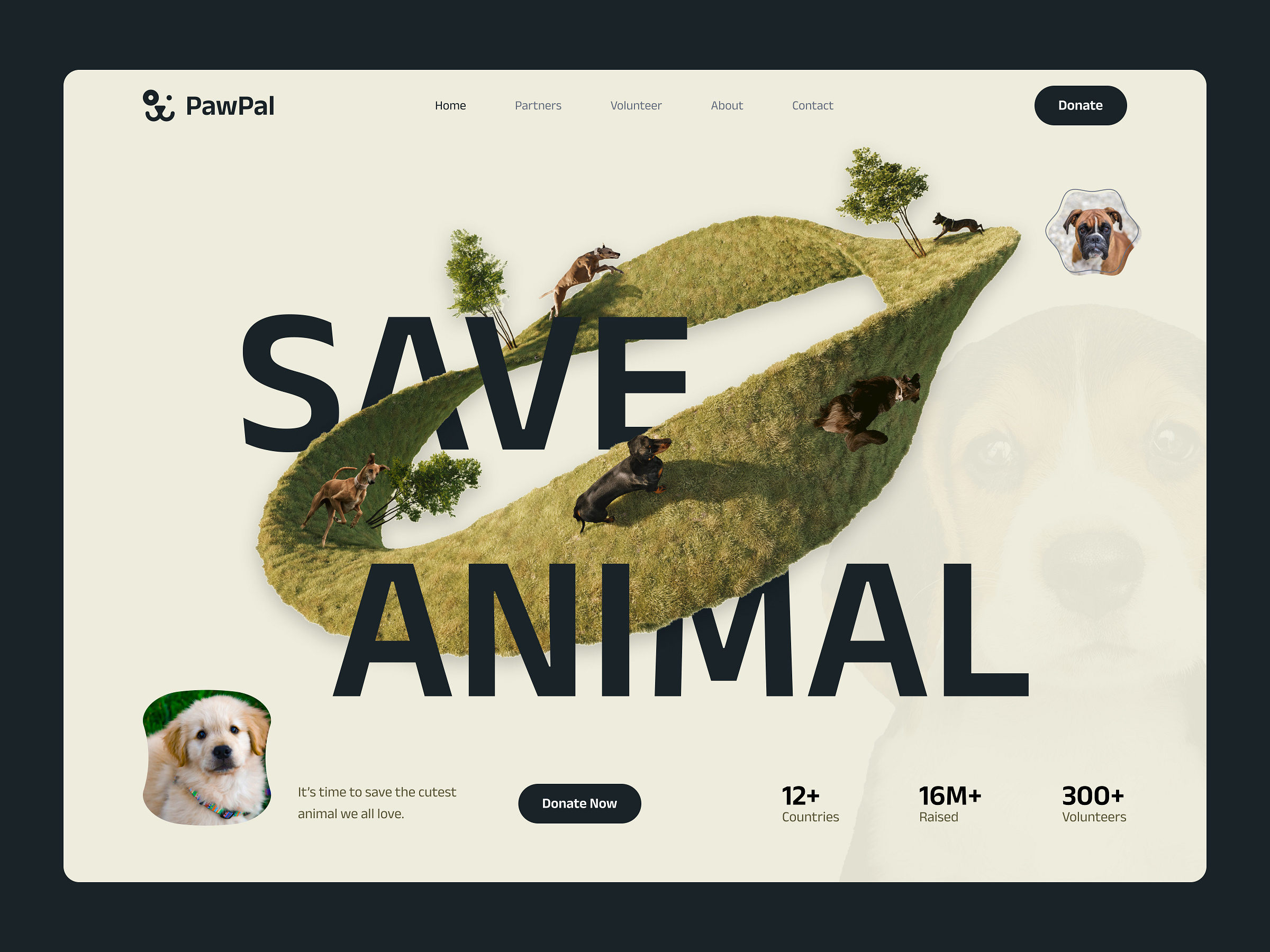 PawPal - Animal Landing page by Redlio Designs on Dribbble