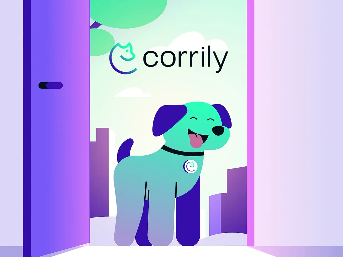 Browse thousands of Pet Animation images for design inspiration | Dribbble