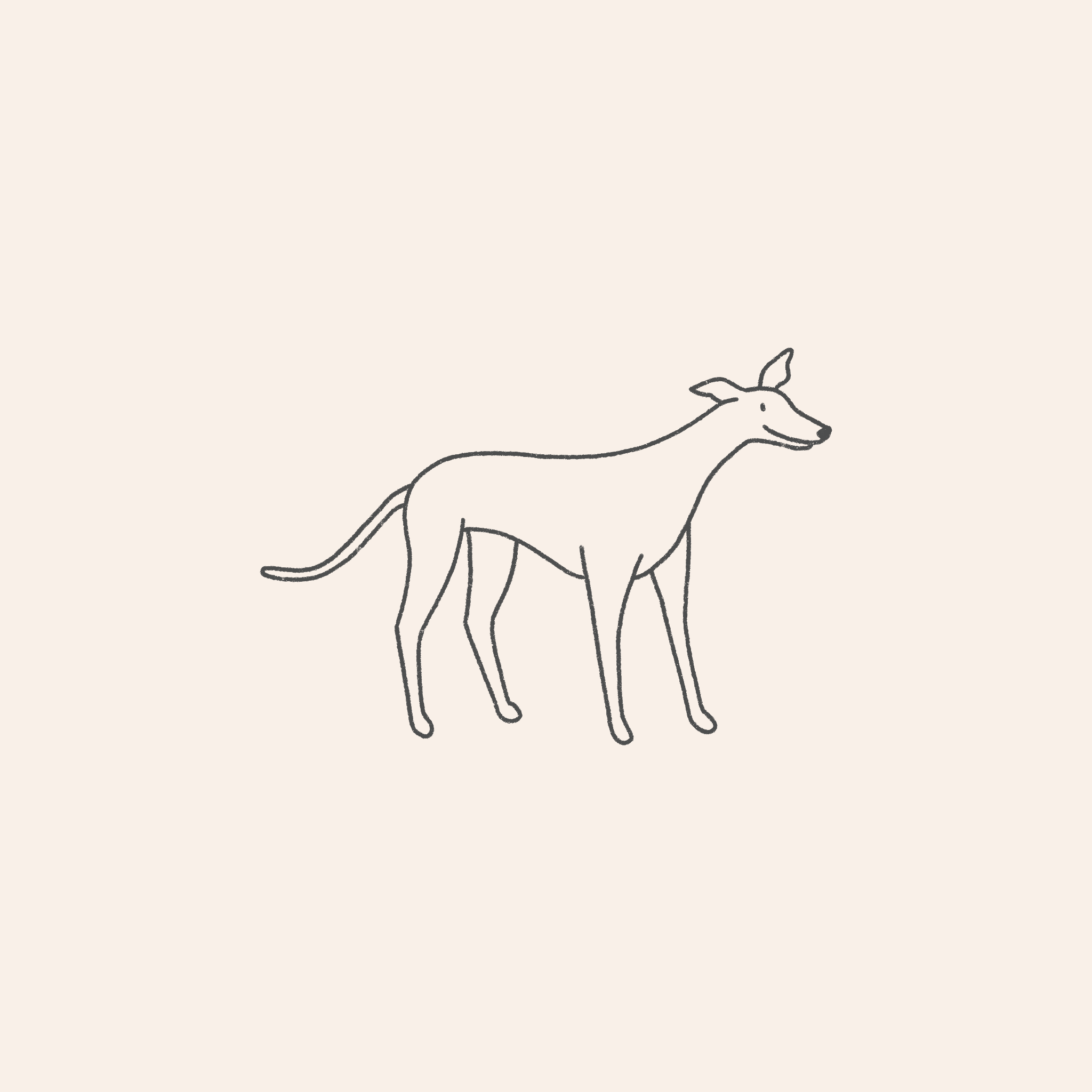 Browse thousands of Animated Dog images for design inspiration | Dribbble