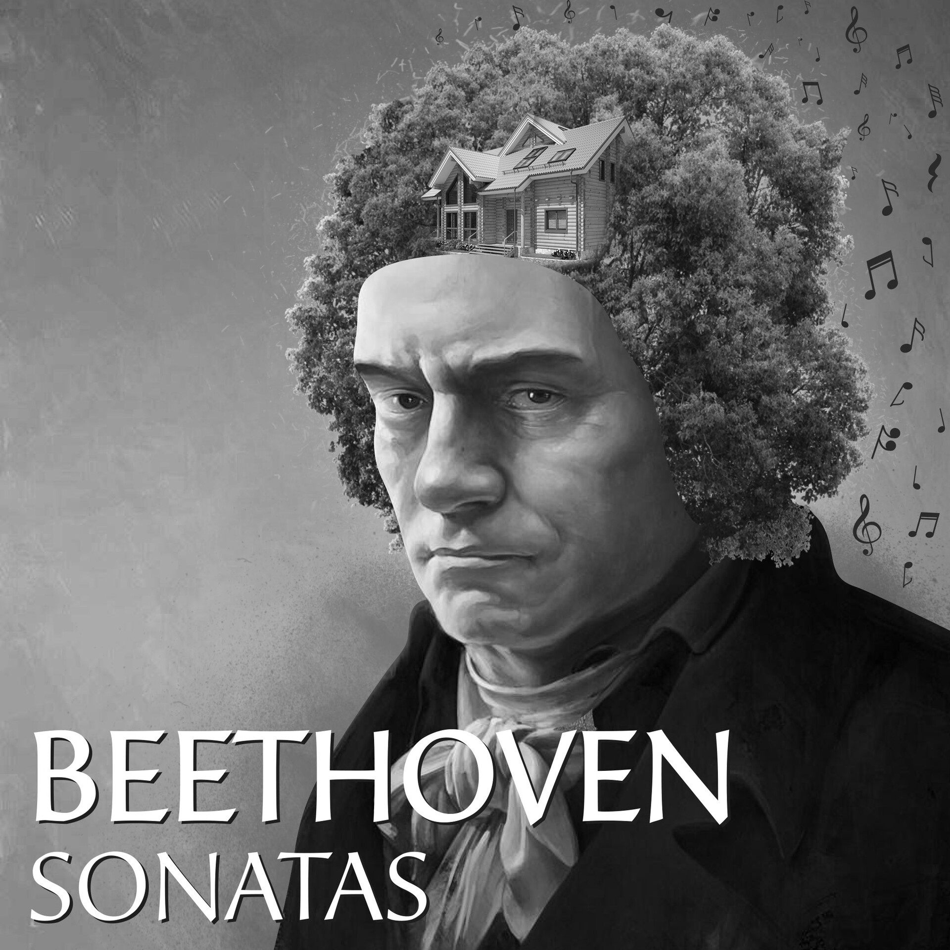 Beethoven Classic Covers 2022 | Creative Communication Design by ...