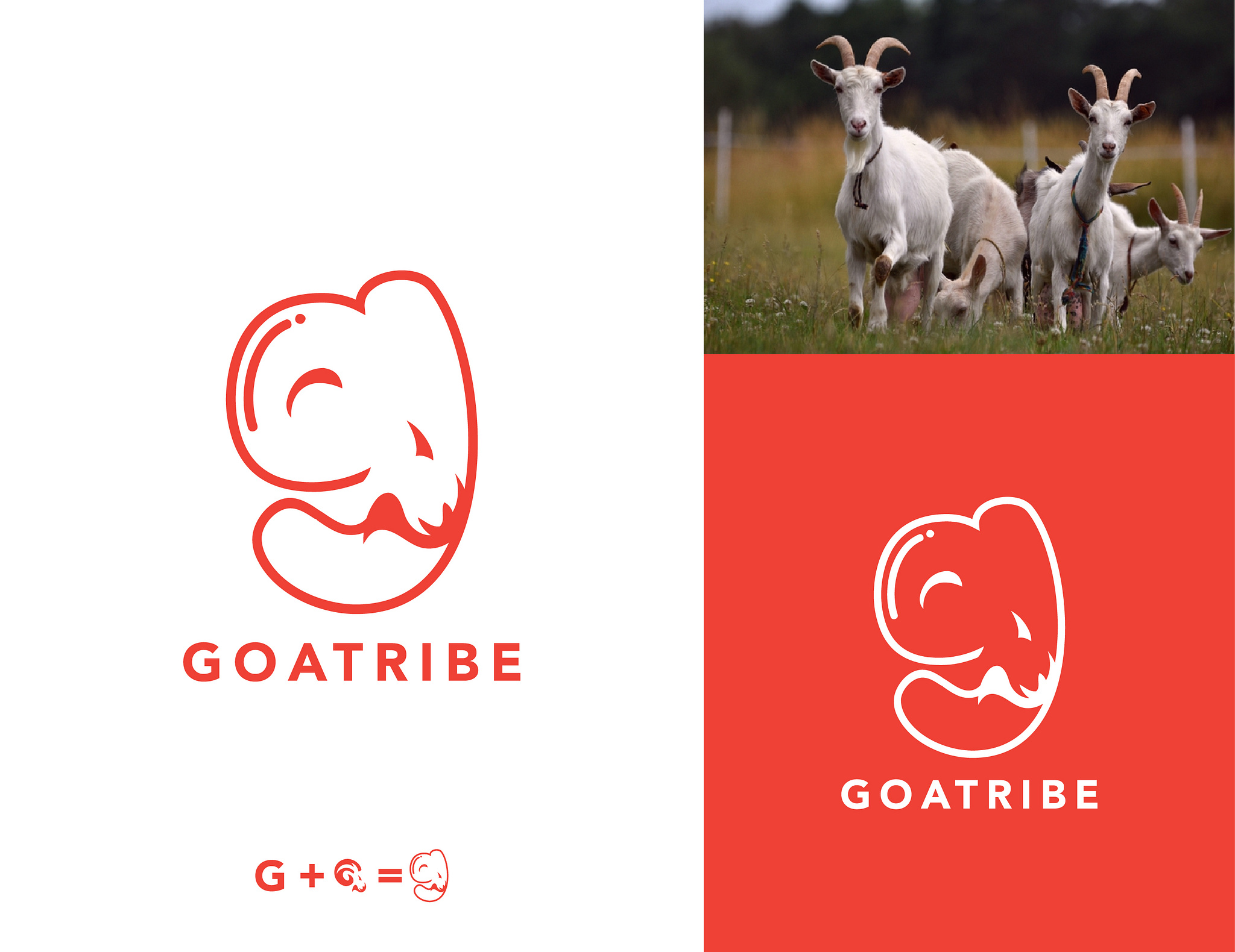 Goatribe Logo Design by Mostafijur Rahman on Dribbble