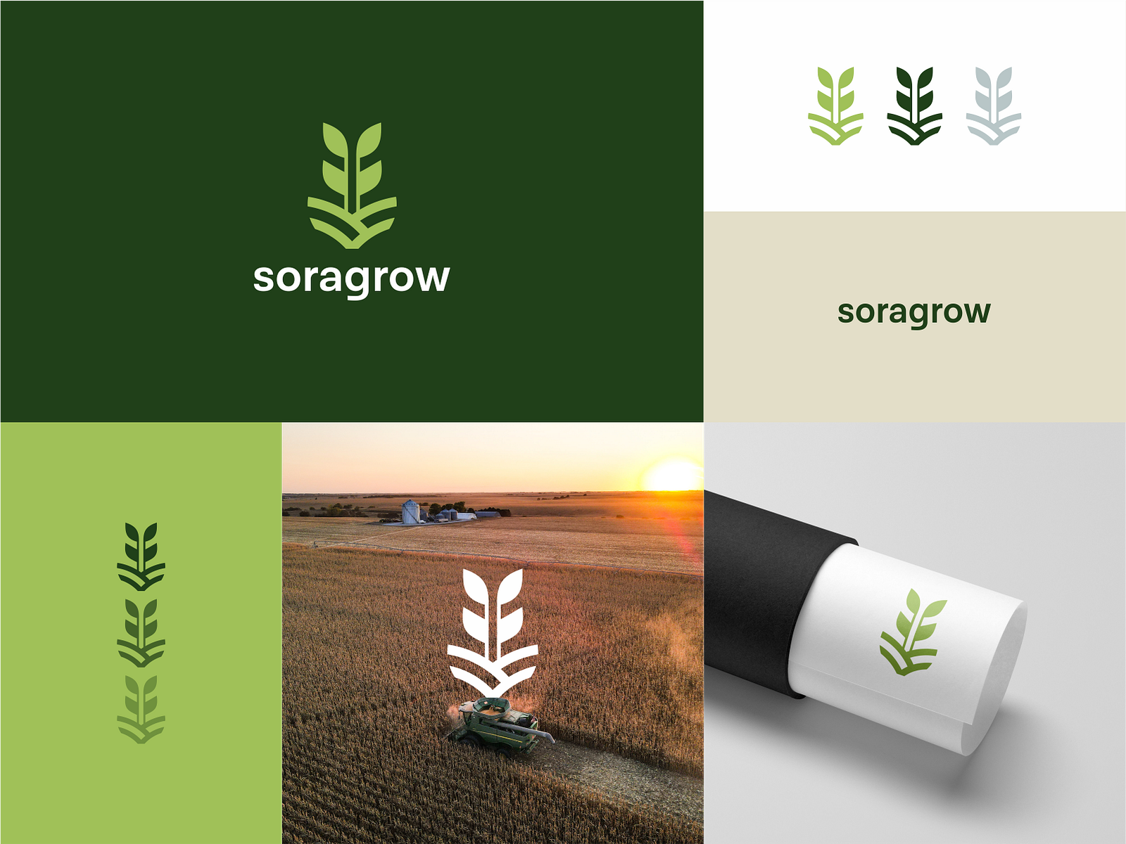 soragrow by Gumale Studio on Dribbble