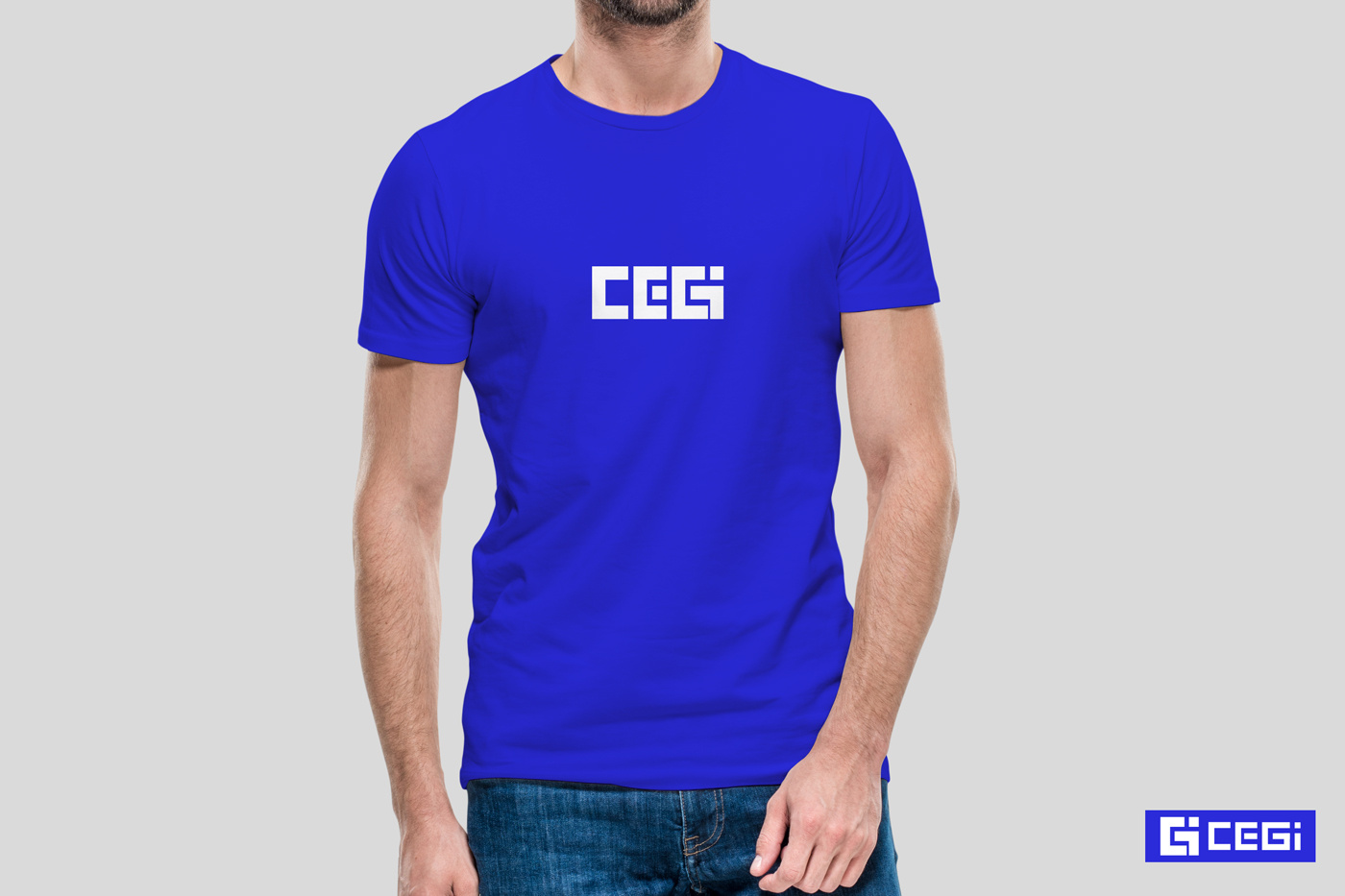 CEGI - Brand identity by NM Tamli for Brand Crown on Dribbble